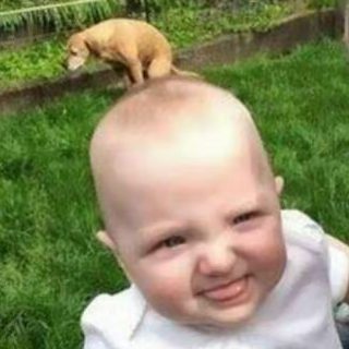 早睡不了的晚起丧尸 