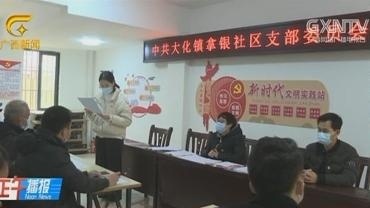 河池大化:全面完成村(社区)党组织换届选