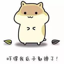 Magic公园 