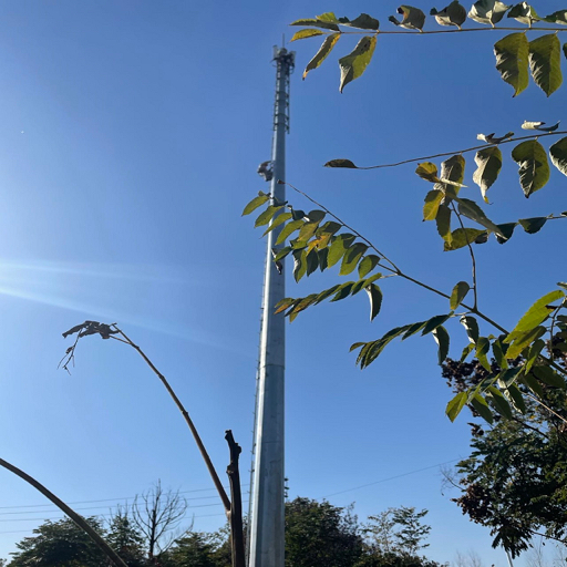 今天去哪玩好呢 