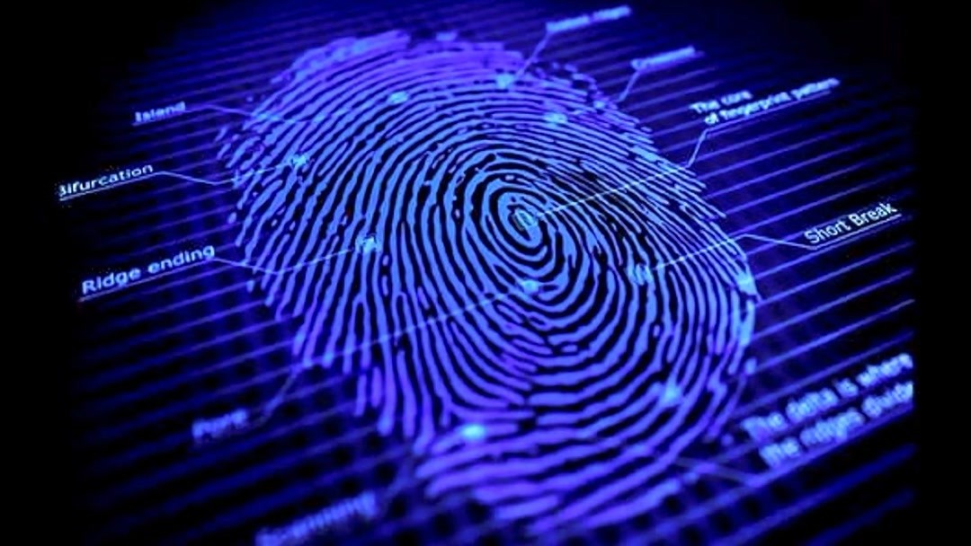 为什么每个人的指纹都不相同