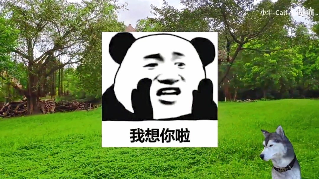 意外收获千元"国家发钱"人人都有机会"小牛教你退税"!不要错过这个...
