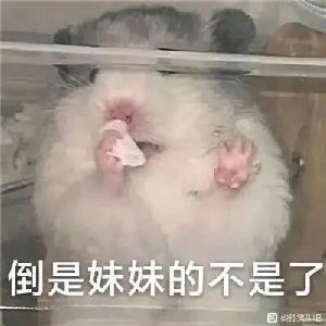 白青蓝_ 
