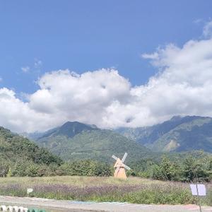 无忧的苹果 