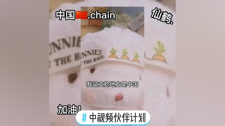 #中视频伙伴计划