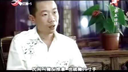 解密中华武术