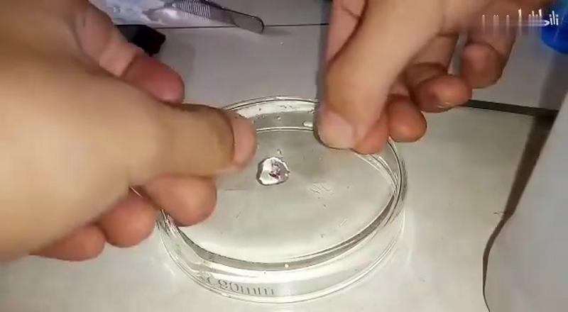 「自制显微镜」教你只用几块钱自制显微镜
