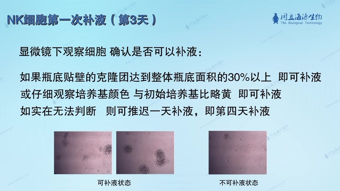 NK细胞培养操作全流程