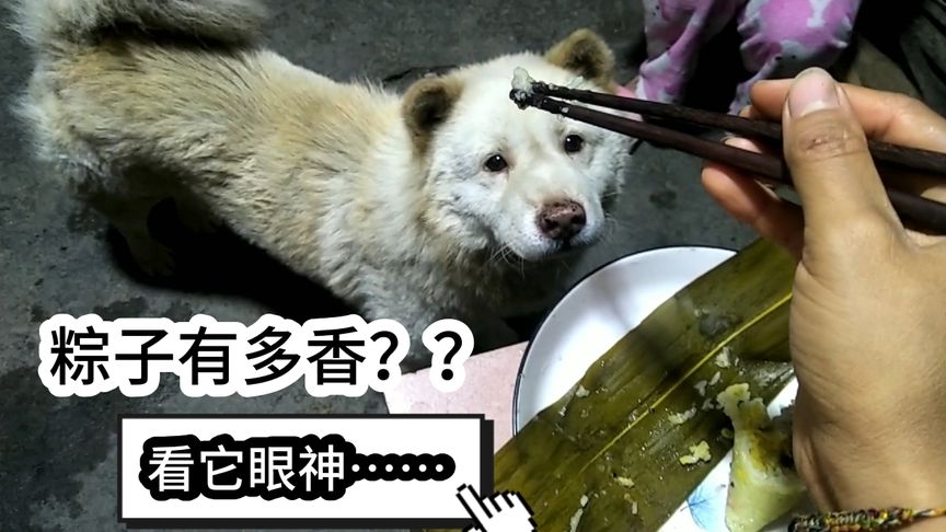 粽子一熟满屋飘香,这大概就是家乡的味道