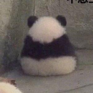 刘静流 