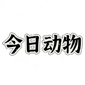 今日动物 