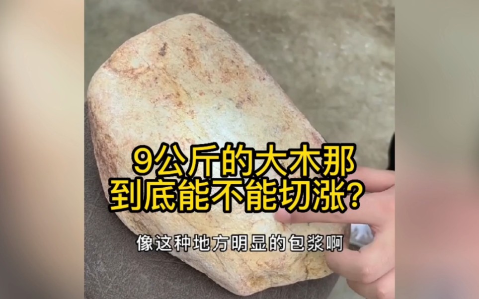 挑战全网切翡翠最多的男人,9公斤的木那切开到底怎么样?