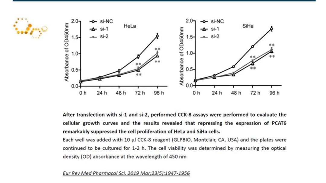 GK10001 Cell Counting Kit-8 (CCK-8)