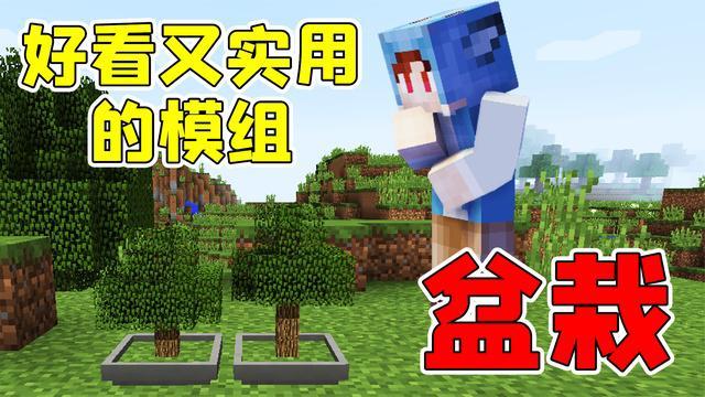 我的世界:全自动树木收集装置?拥有它生存模式就等于无限资源!
