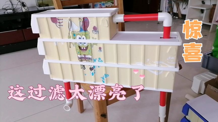Diy鱼缸过滤做出来真没想到,太漂亮了,惊艳到了