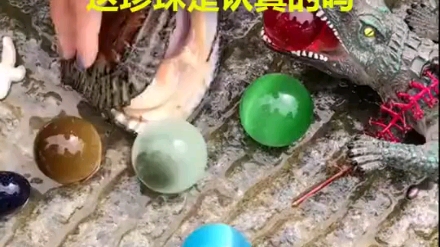 这么大的珍珠,是假的吗?