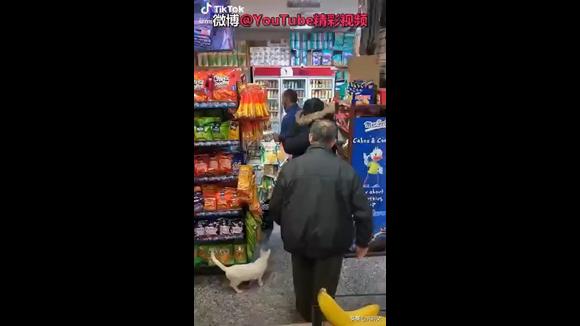 寻找这样的中国超市老板!大家一起找?