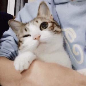 今天风向错了 