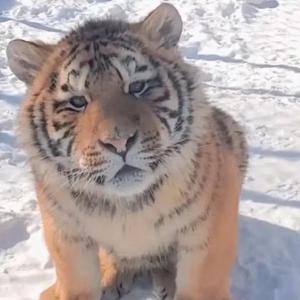 赵掌柜的看店生活 