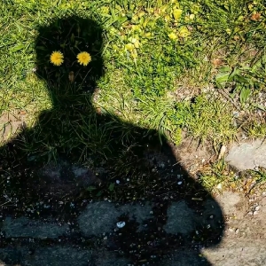 陪你读书的尼尼 