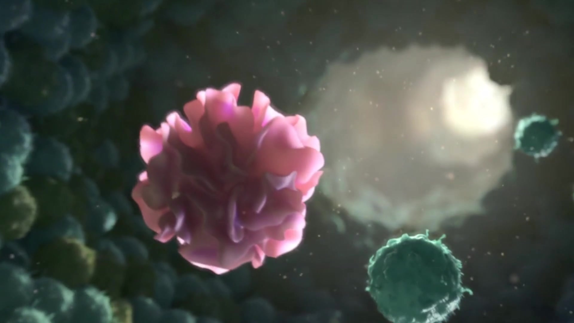 地球上万物都是相生相克的,那么病毒在自然界的天敌是什么?