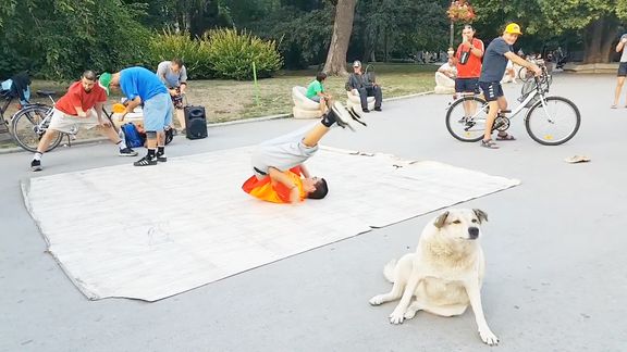 狗狗发现街上有人跳舞,上去露了一手,下一秒憋住别笑