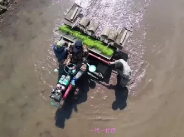 航拍美丽的稻田(卡拉OK精剪版)