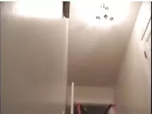 2013爆笑狗狗表演、跳舞视频片段大集锦