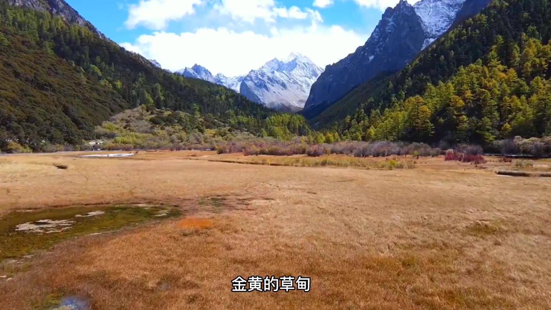 为了最初的信仰,我愿意静静的守望