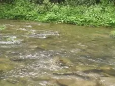 张家界森林公园