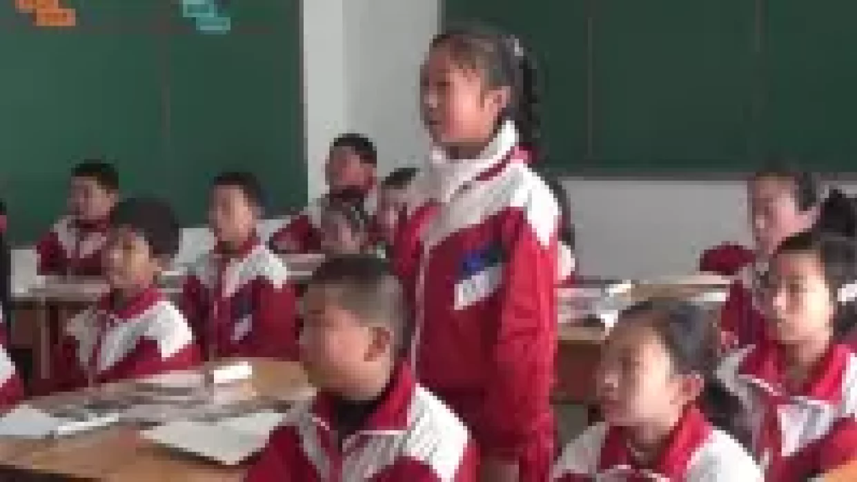 小学数学《百分数与分数小数的互化》西单小学 郗良刚