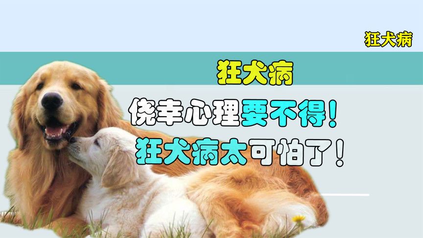 接种狂犬疫苗有没有用?被狗咬了没出血不用打疫苗了?