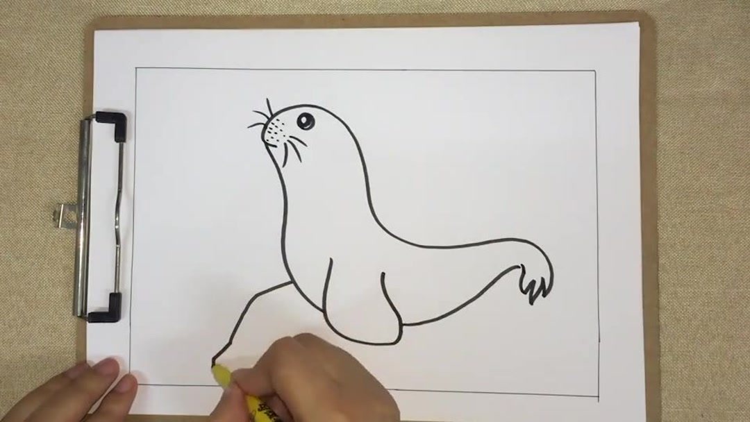 简笔画海豹 简单好学