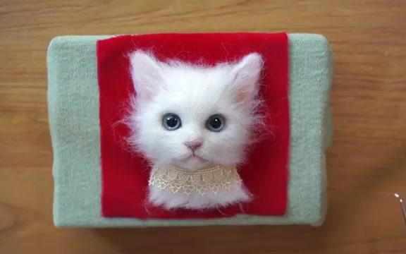 【源简手创搬运】羊毛毡猫咪植毛教程