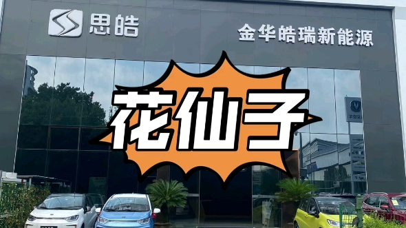 #新能源#花仙子#思皓E10X#电动汽车 #抖音汽车 #出发是为了更好地...