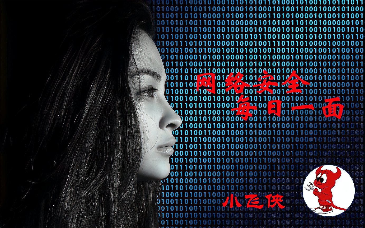 小飞侠-网络安全每日一面系列-23-通过使用什么技术确定文件的完整性