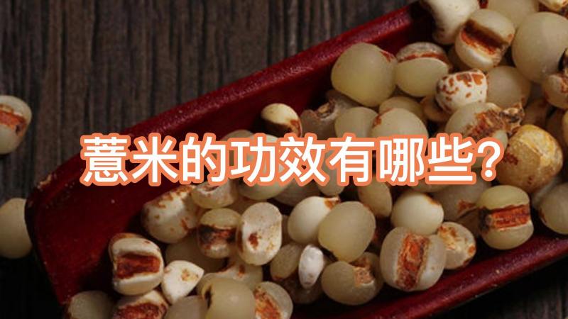 薏米的功效有哪些?