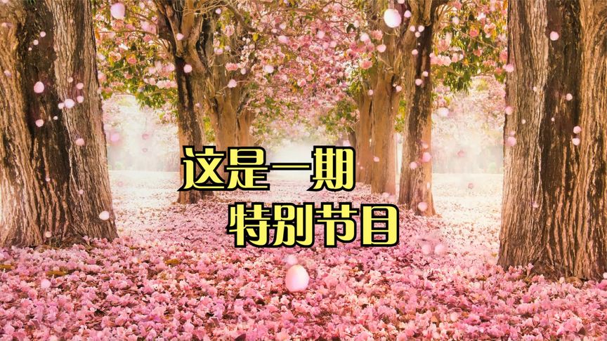 特别节目#摄影后期#PS教程#PS调色#PS修图#PS基础#影视后期制作