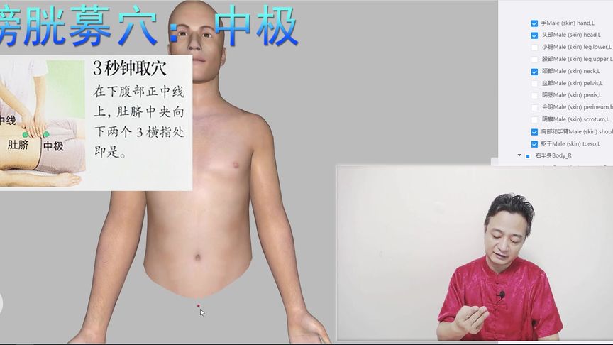 膀胱募穴的定位和取穴