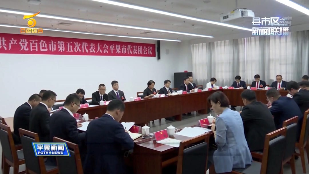 中国共产党百色市第五次代表大会 平果市代表团热议市委和市纪委...