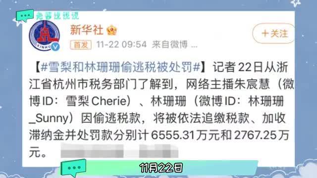 网红主播雪梨和林珊珊偷逃税被处罚千万!雪梨曾自称百亿主播!
