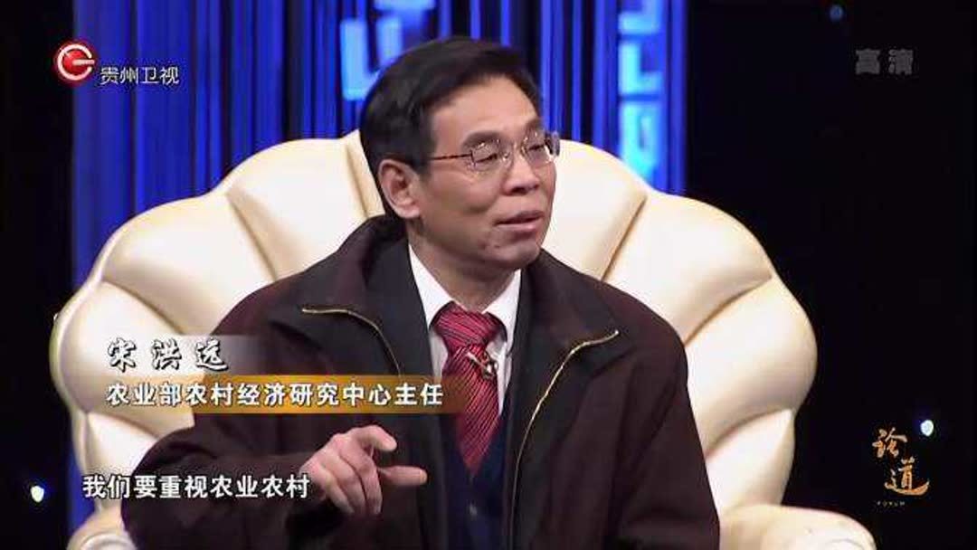 宋洪远:城乡发展不平衡,基础设施公共服务差距大丨论道