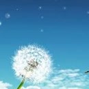 亲子视频 