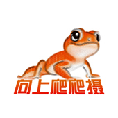 向上爬爬摄 