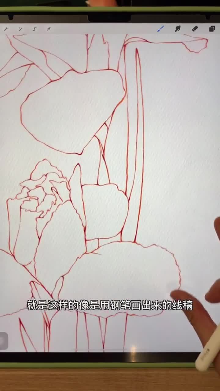 昨晚问我的钢笔勾线笔刷参数设置来了