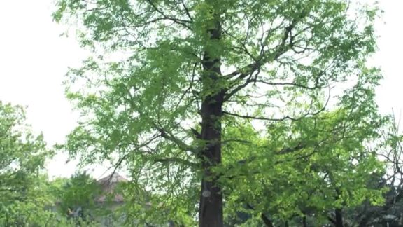 妈妈想把男友介绍给儿子,谁知男友还没坐下,就被儿子撵走了