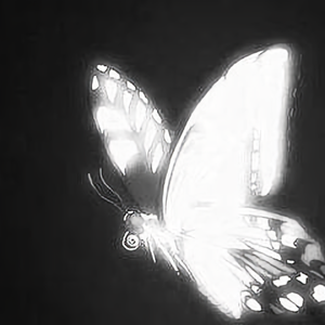 K博士的医学科普 