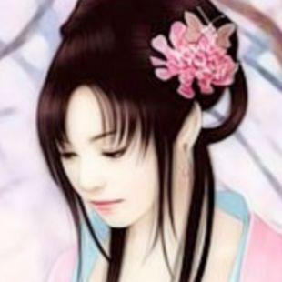 完美dm 