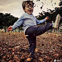 一只会飞的二狗子 