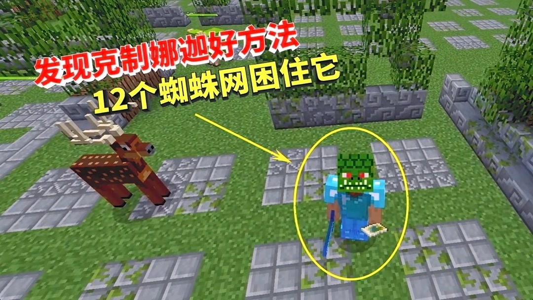 我的世界变形179:发现克制娜迦好方法,12个蜘蛛网让它任你宰割